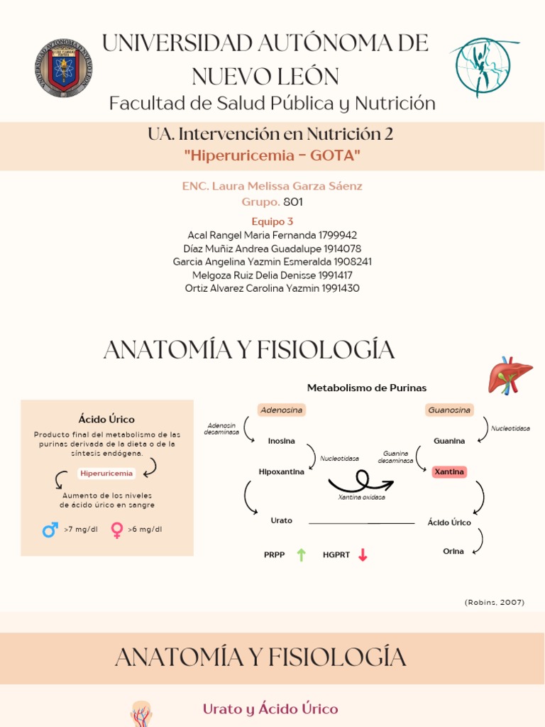 Hiperuricemia GOTA EQ. 3 | PDF | Gota | Especialidades Medicas