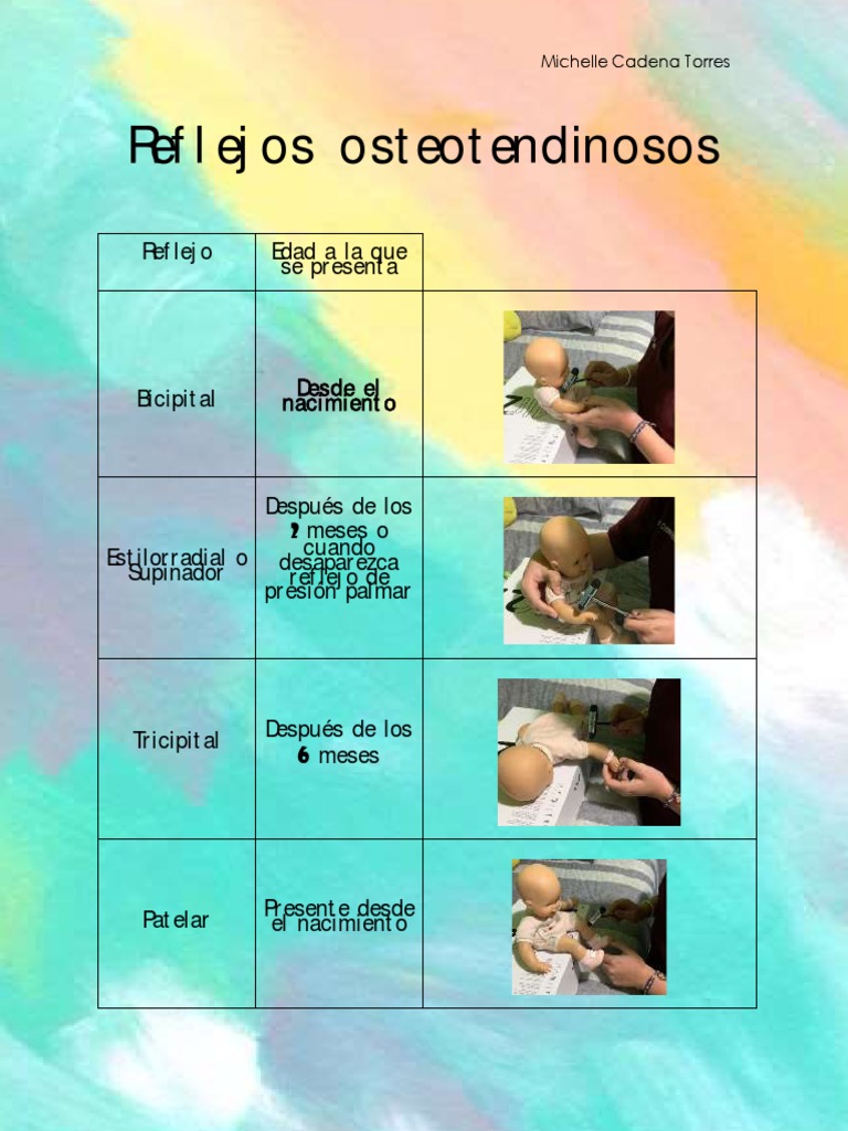 Reflejos Osteotendinosos | PDF