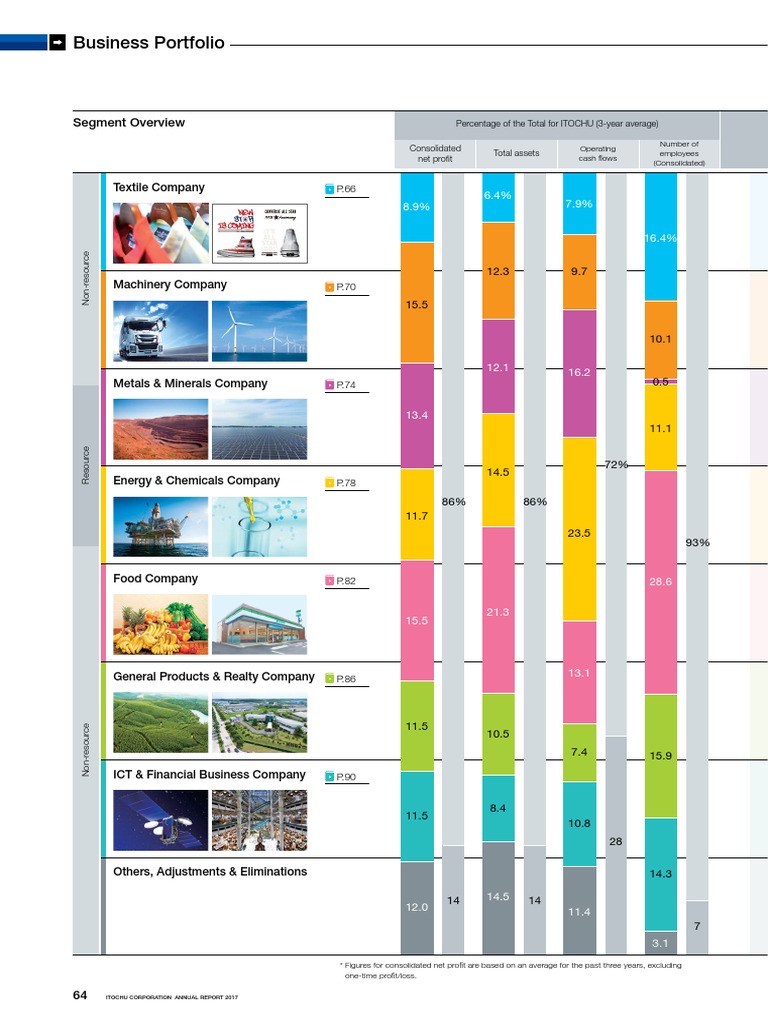 Business Portfolio Example | PDF | Sustainability | Brand