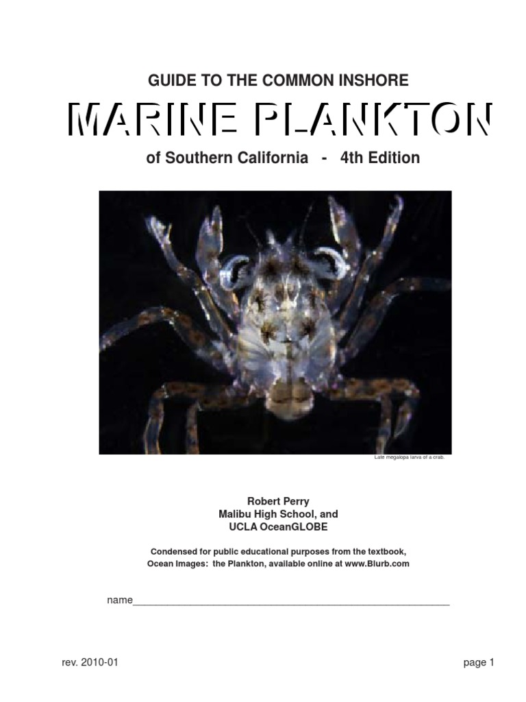 3 Plankton Guide 2010rev | PDF | Plankton | Mollusca