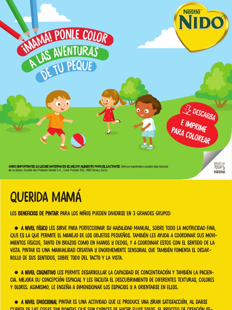 Libro Colorear Nido | PDF