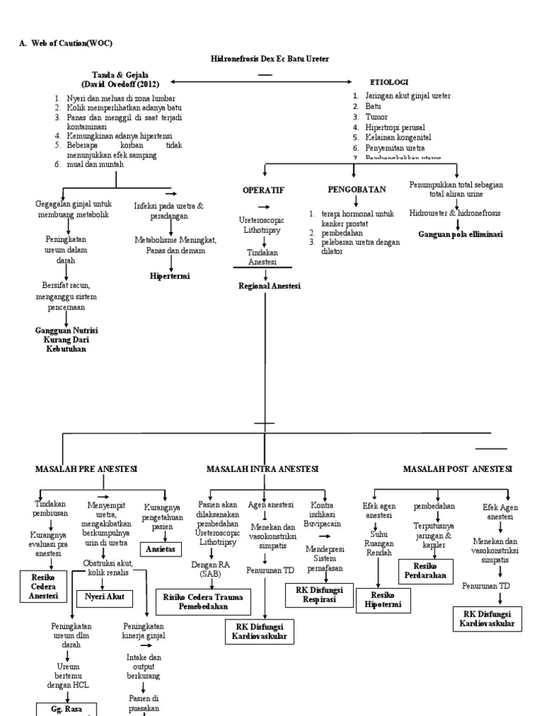 Web of Caution | PDF