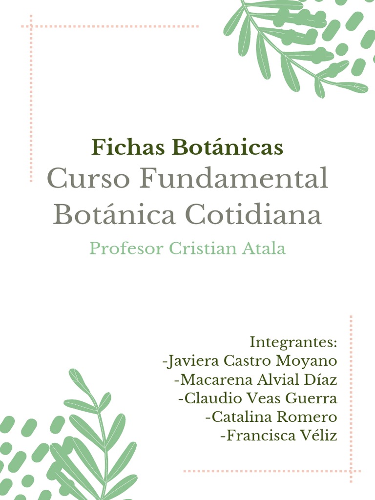 Fichas Botanicas Curso Botanica Cotidiana Grupo Tintes Naturales | PDF ...