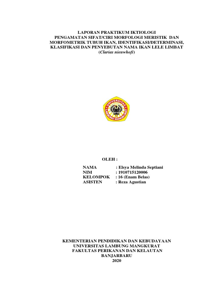 Ciri Morfologi Ikan Lele Limbat | PDF