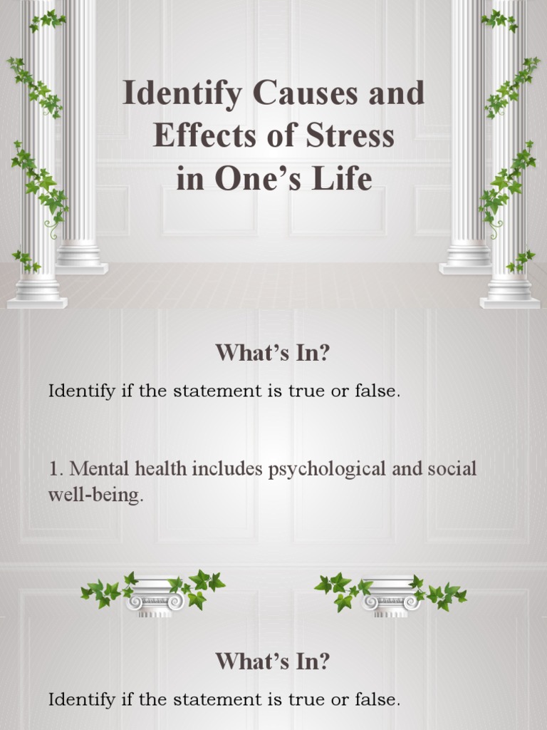Understanding Stress: Causes and Effects | PDF | Stress (Biology ...