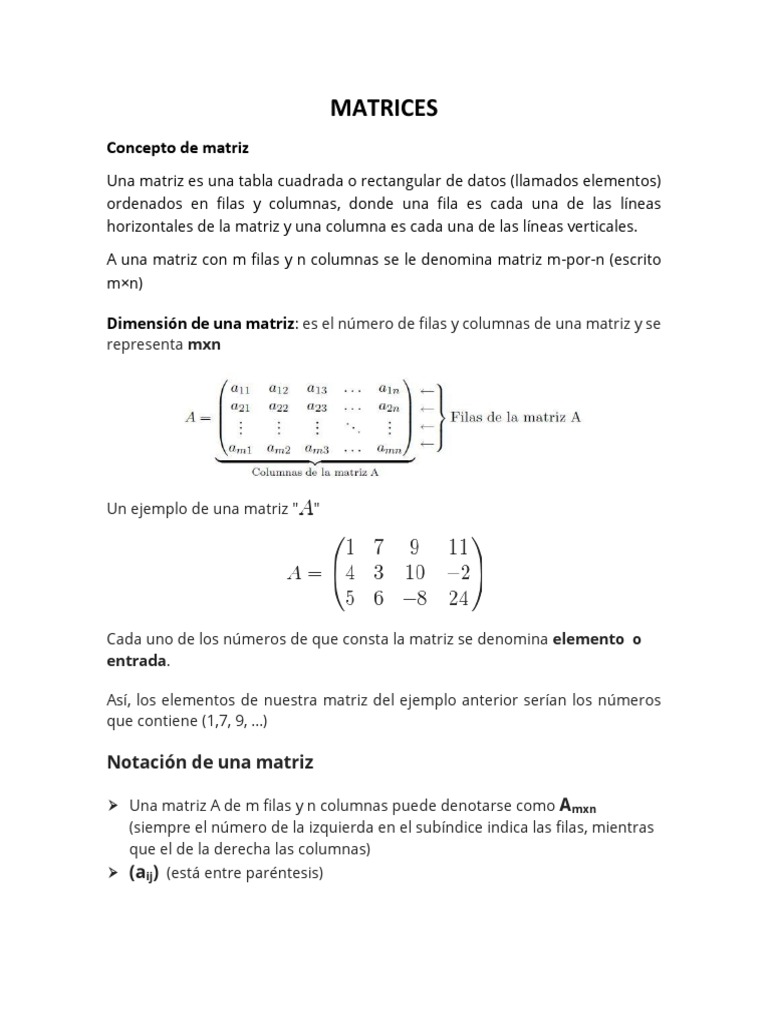 Introducción a las Matrices y Tipos | PDF | Matriz (Matemáticas ...