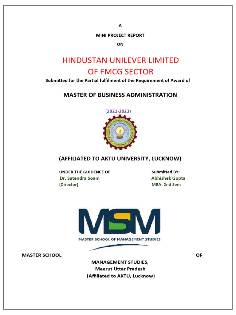 FMCG Project MSM | PDF | Digital Marketing | Marketing