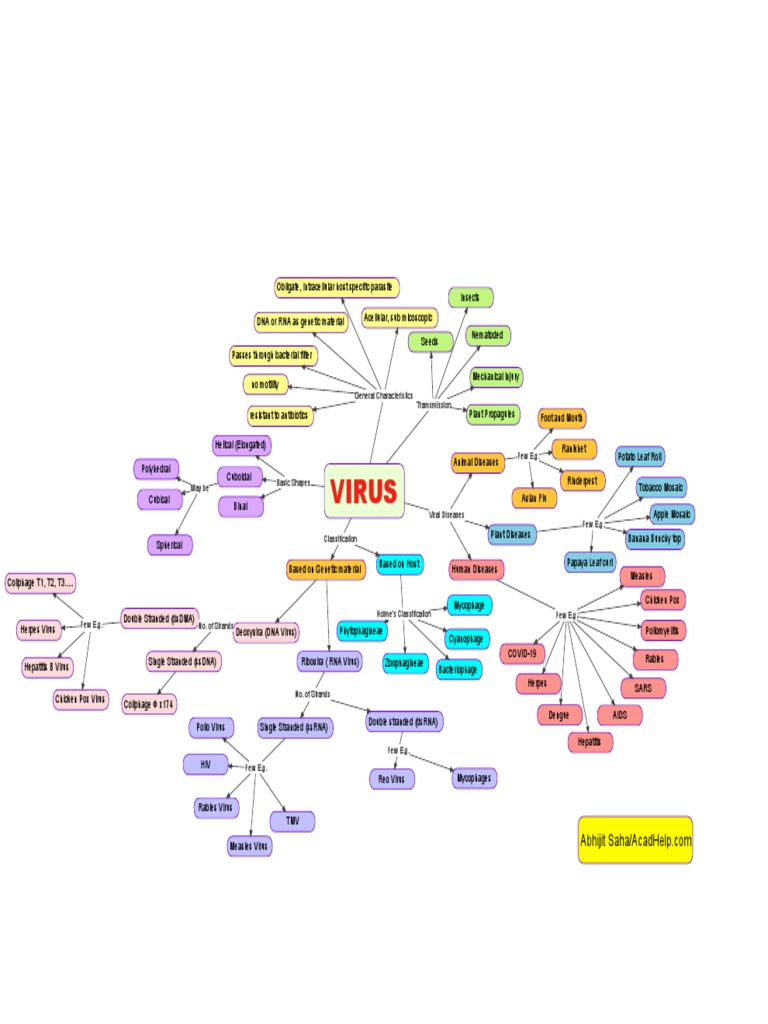 VIRUS Biology Mindmap Biological Classification | PDF | Virus | Dna
