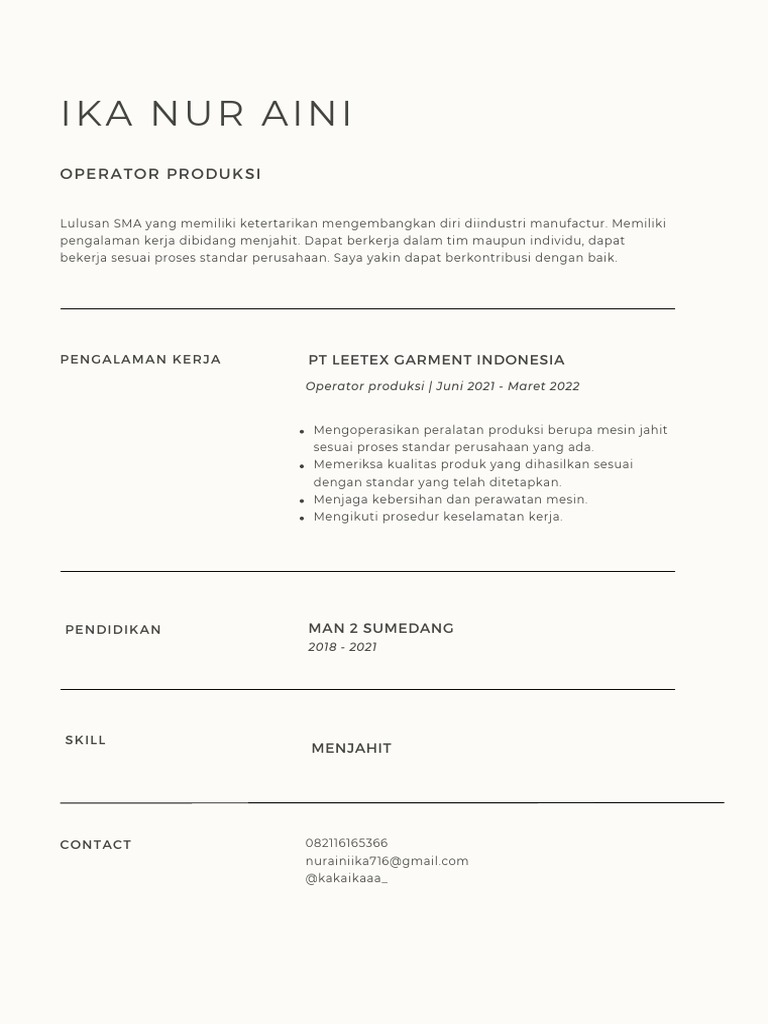 CV - Ika Nur Aini | PDF