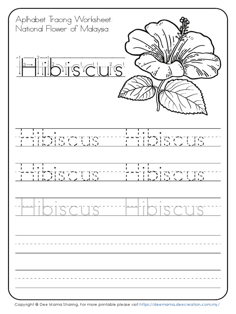 Hibiscus Flower Tracing Worksheet | PDF