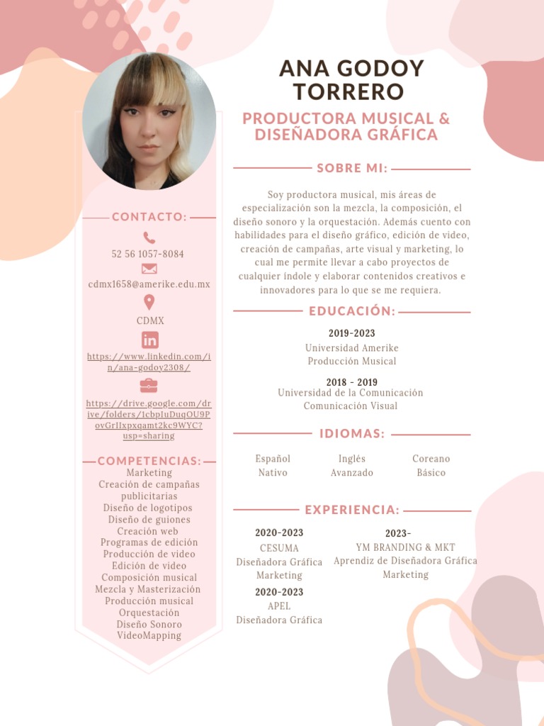 Curriculum Ana Godoy | PDF