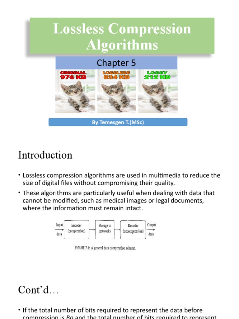 Chapter Five Lossless Compression | PDF | Data Compression | Code