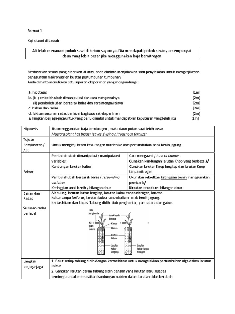 format baru esei -contoh | PDF