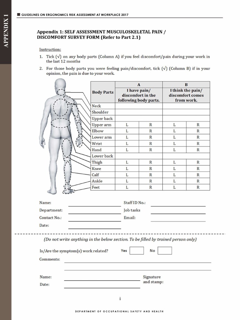 Hardcopy For Participants | PDF | Human Factors And Ergonomics | Anatomical Terms Of Motion