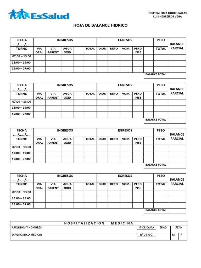 HOJA DE BALANCE HIDRICO | PDF
