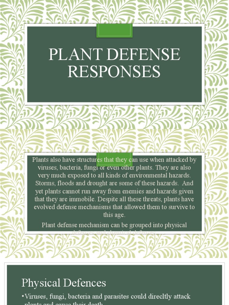 Plant Defense Responses | PDF | Plants | Bacteria