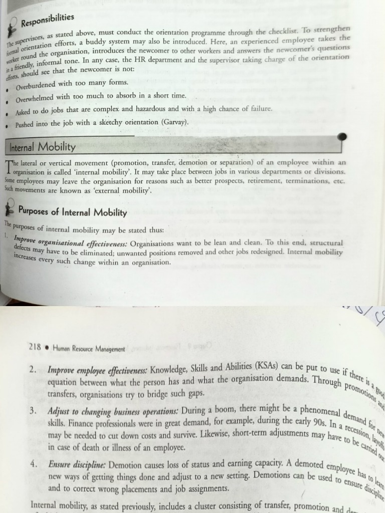 Internal Mobility Transfer Promotion and Demotion | PDF