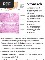 Acute Gastritis Pathophysiology Overview | PDF | Peptic Ulcer ...