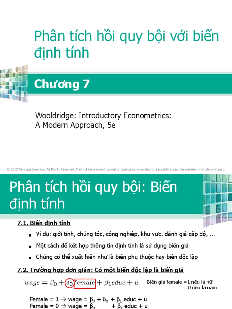 TuongNam R CH 07 Wooldridge 5e PPT Cao | PDF