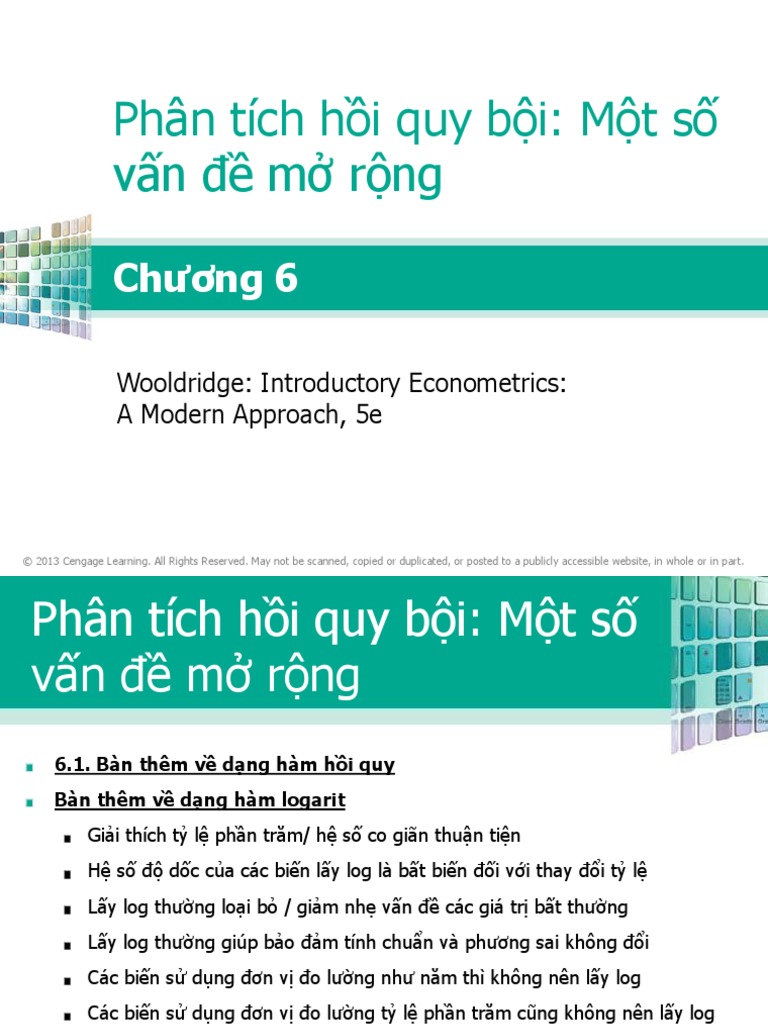 TuongNam R CH 06 Wooldridge 5e PPT Cao | PDF