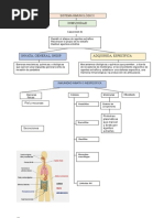 Mapa Conceptual-Inmunidad Innata | PDF | Sistema inmune innato | Sistema inmune