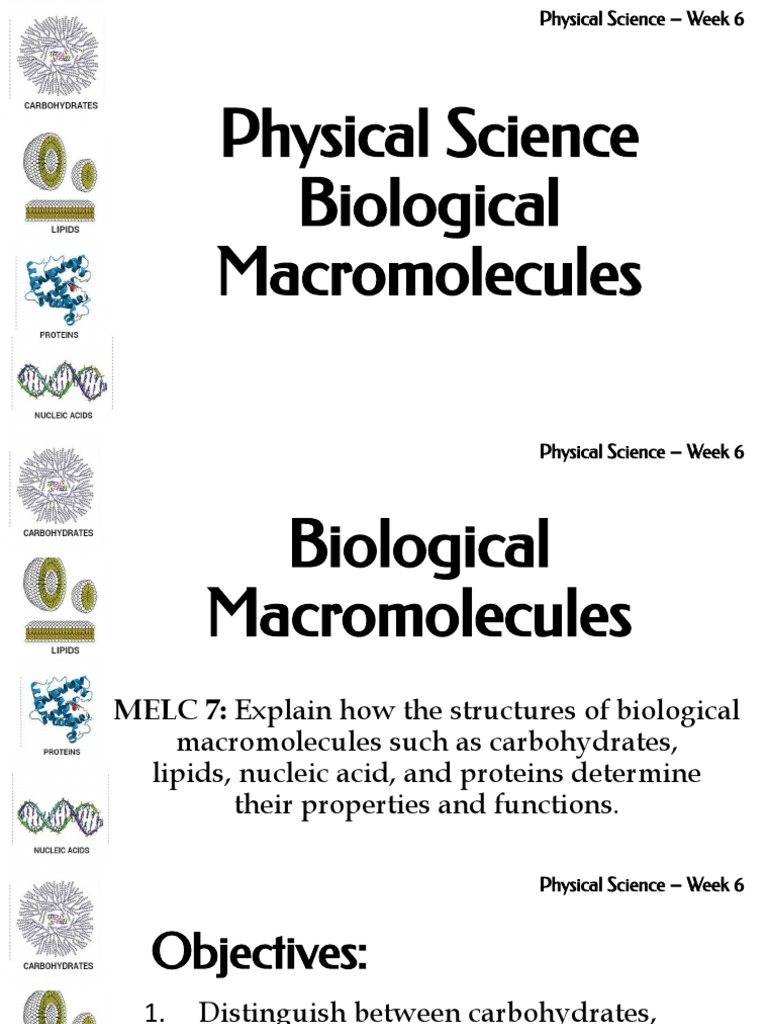 Lesson 5 Biological Macromolecules | PDF | Carbohydrates | Biomolecules