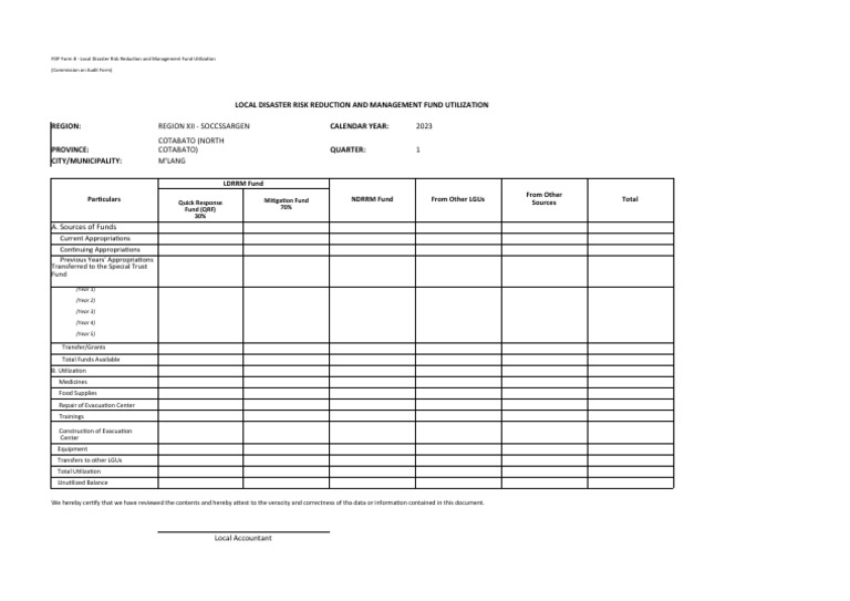 FDP Form 8 - Local Disaster Risk Reduction and Management Fund ...