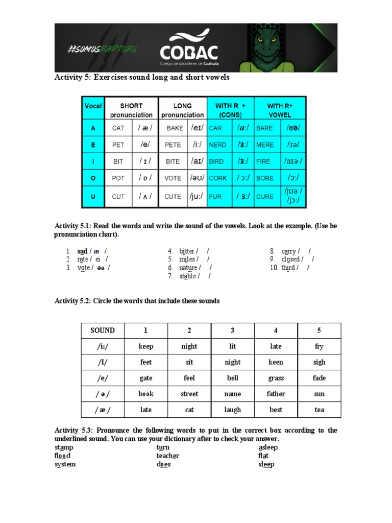 Vowel Sounds Practice Activities | PDF | Human Voice | Phonology