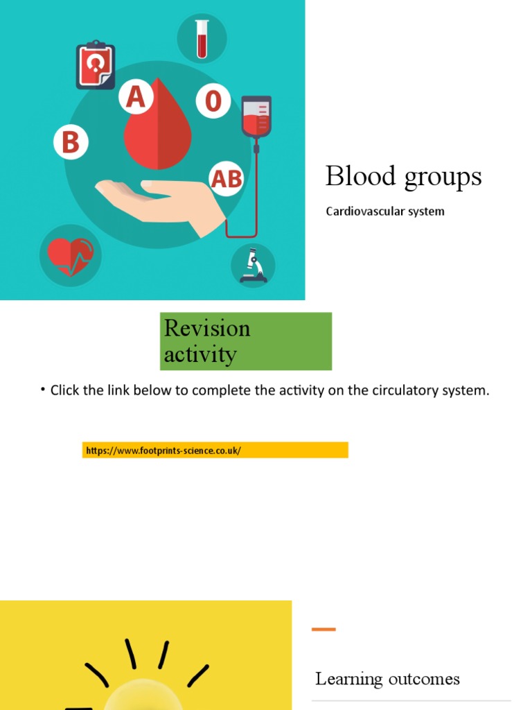 Blood Group | PDF | Blood Type | Tissue (Biology)