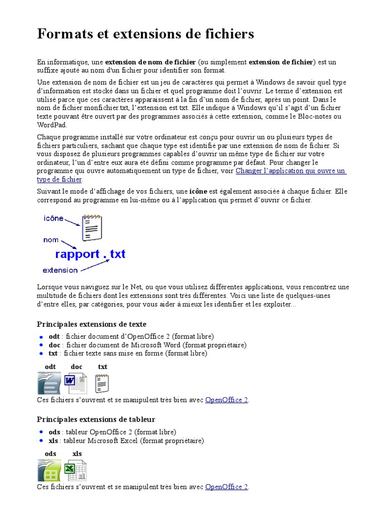 Comprendre les extensions de fichiers | PDF | Fichier informatique ...