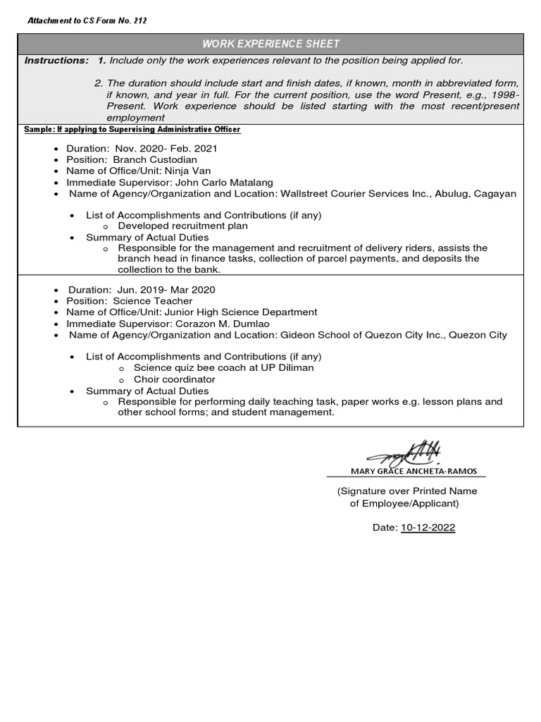 Work Experience Sheet | PDF