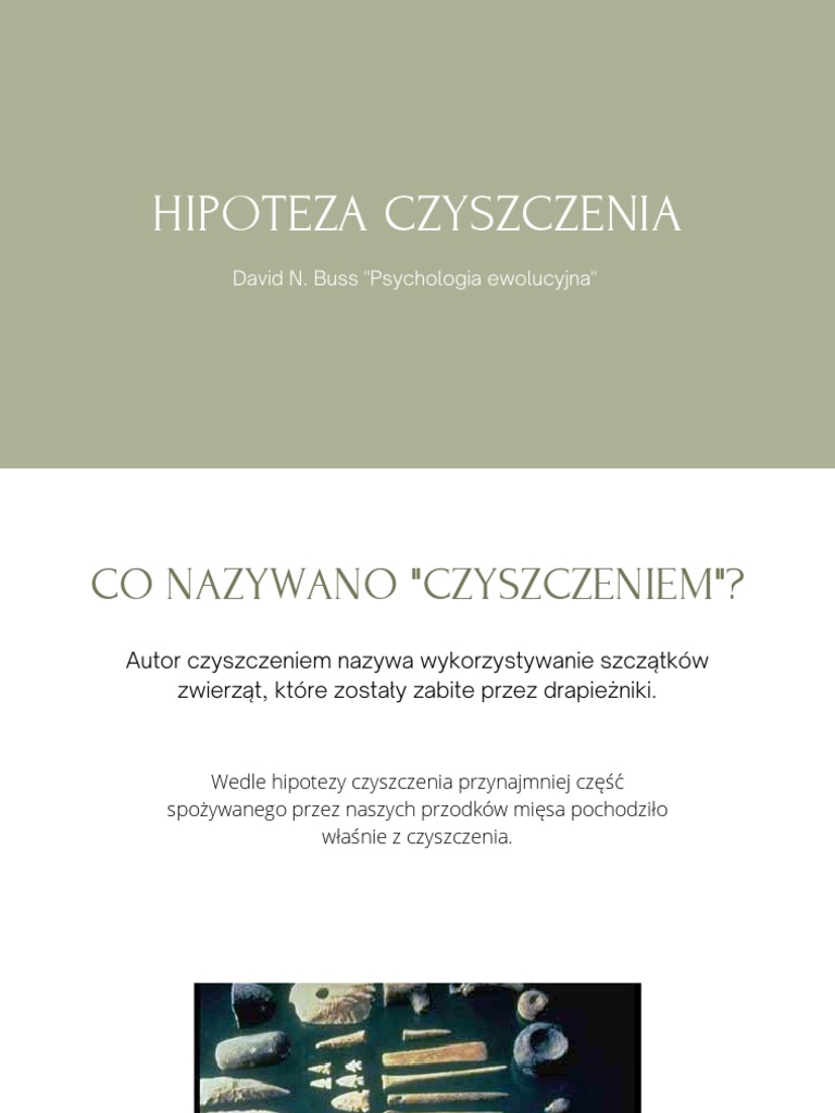 Hipoteza Czyszczenia | PDF
