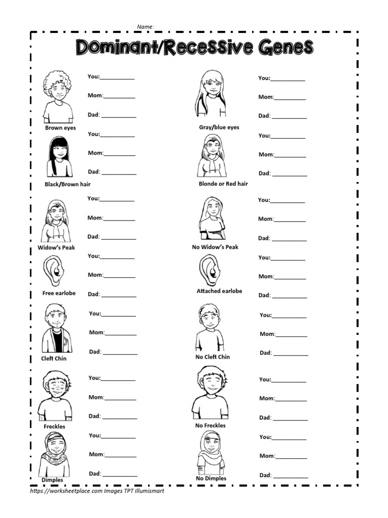 Dominant and Recessive Traits Chart | PDF | Hair Color | Human Hair