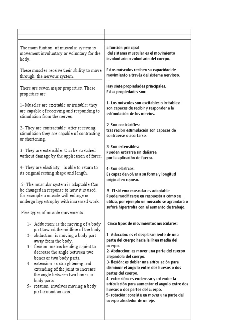 Exposicion Ingles | PDF | Músculo | Órgano (anatomía)