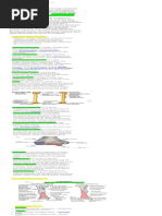 Cicely Berry Jaw Exercise | PDF | Wellness