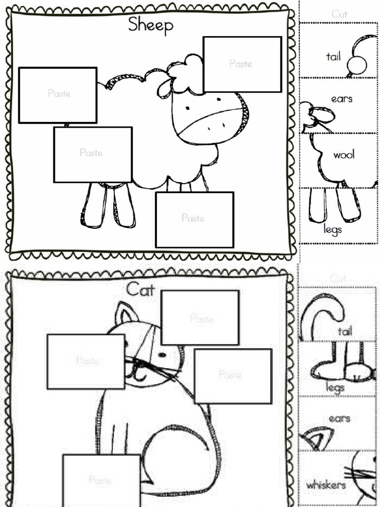 Parts of Sheep Cut and Paste | PDF