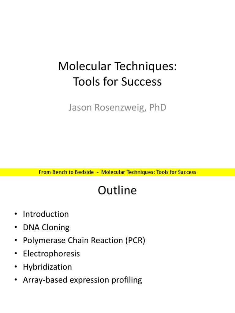 Molecular Techniques | PDF | Real Time Polymerase Chain Reaction ...