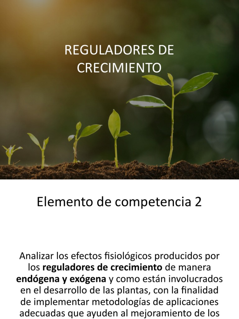 Reguladores de Crecimiento 3 | PDF | Hormona Vegetal | Auxina