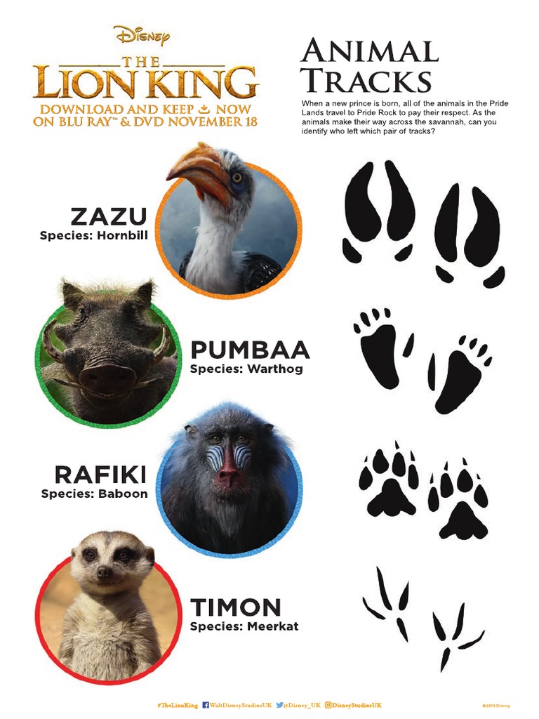 Lion King Activity Pack | PDF