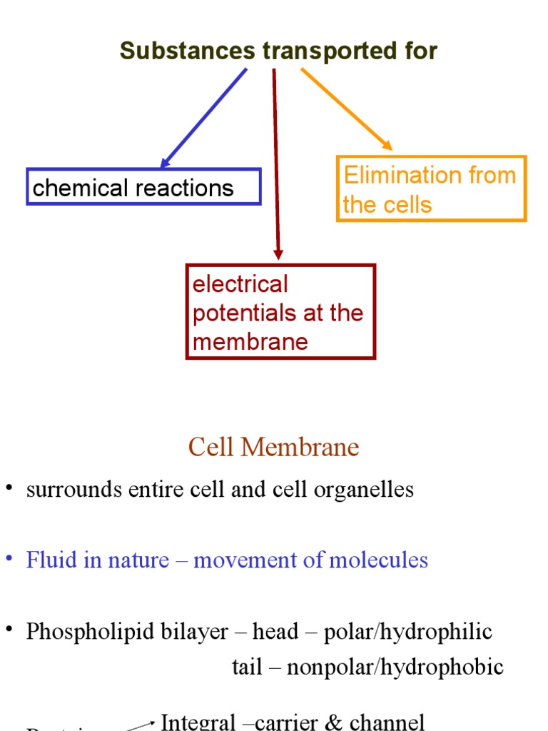 Cell Membrane Transport Mechanisms | PDF | Lipid Bilayer | Cell Membrane