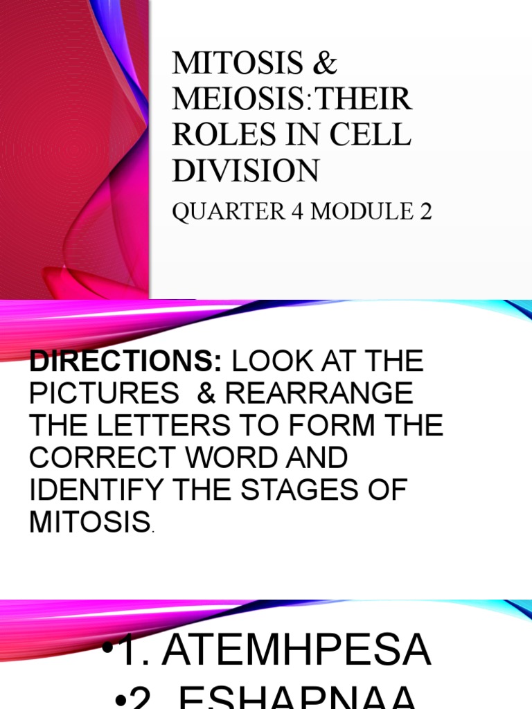 Mitosis Meiosis 1st Day | PDF | Mitosis | Meiosis