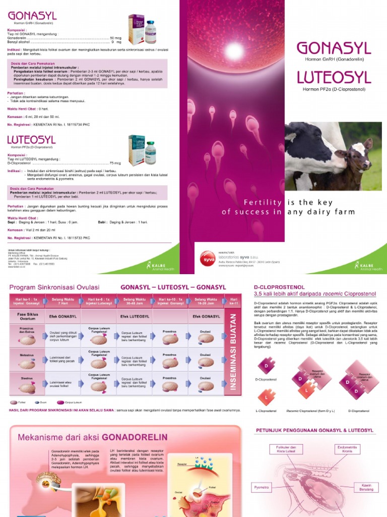 Luteosyl Gonasyl | PDF