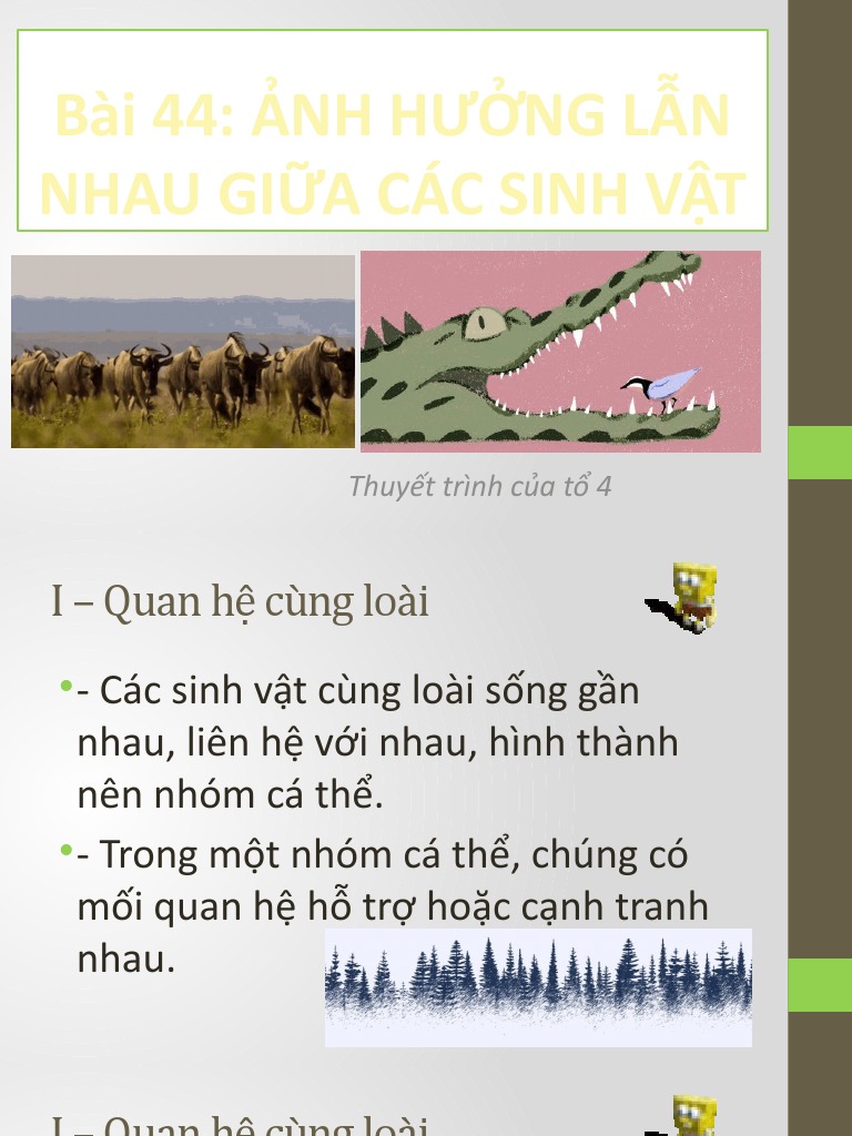 Bài 44 | PDF
