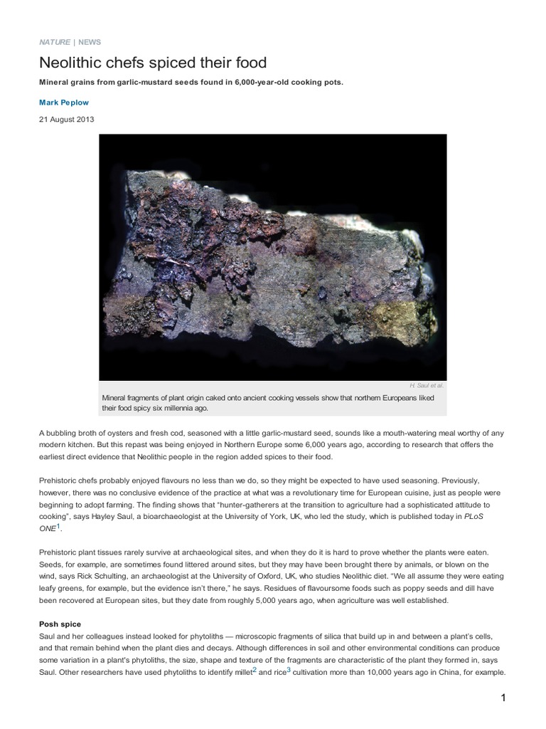 Neolithic chefs spiced their food | PDF | Cooking | Neolithic