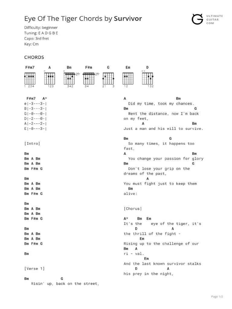 Eye of The Tiger Chords | PDF