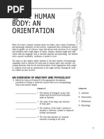 Body Systems Matching Worksheet | PDF | Human Body | Animal Anatomy