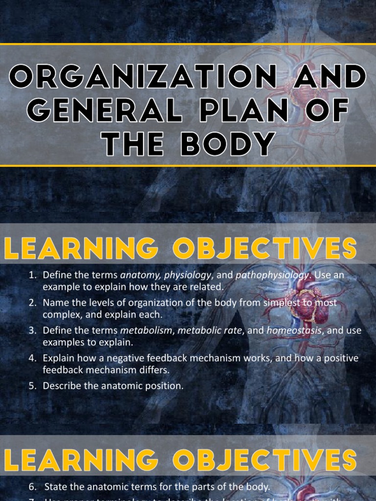 01 Organizational and General Plan of The Body | PDF | Human Body ...