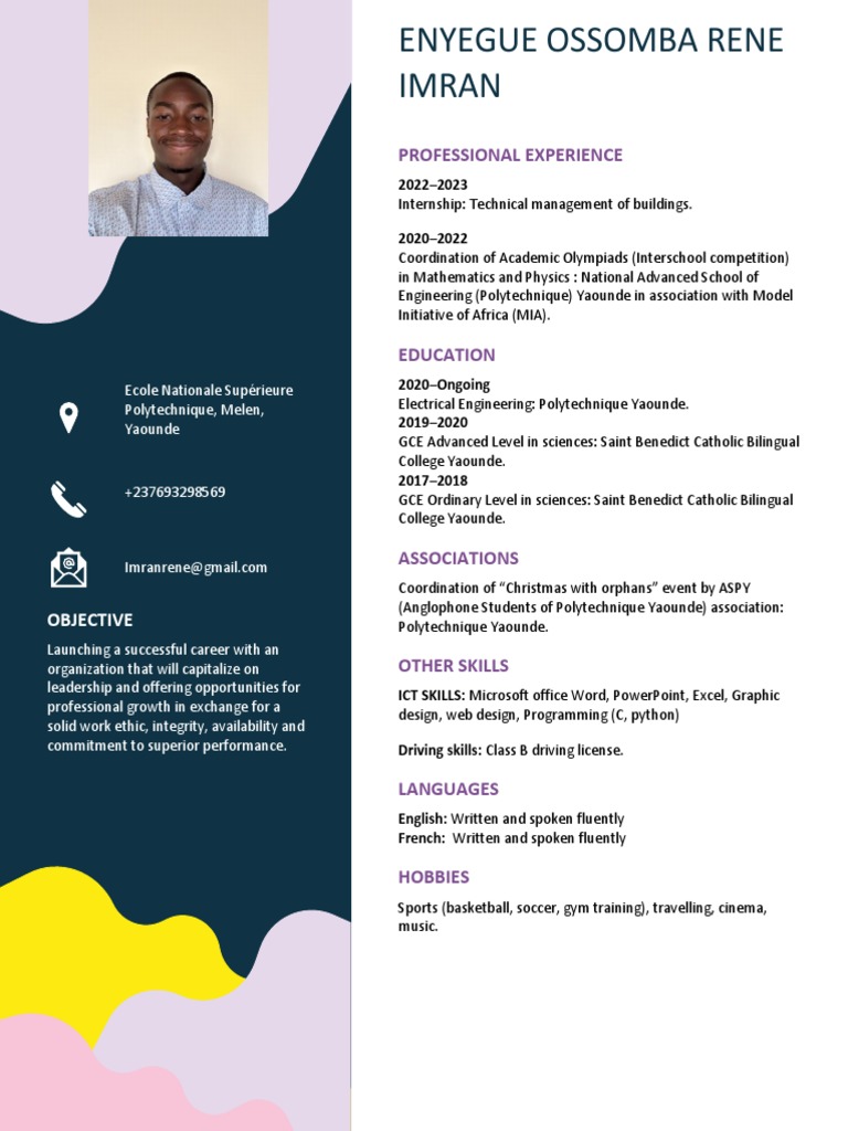 Curriculum Vitae Imran | PDF