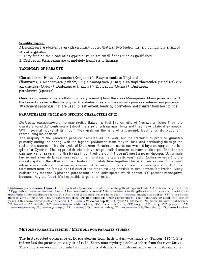 Diplozoon Paradoxum | PDF