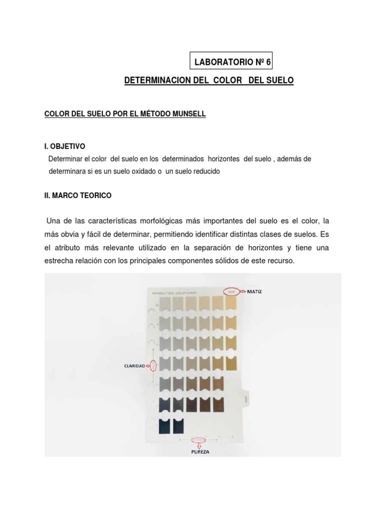 Guia Lab. 6 Detr. Del Color Del Suelo | PDF | Sal (química) | Color